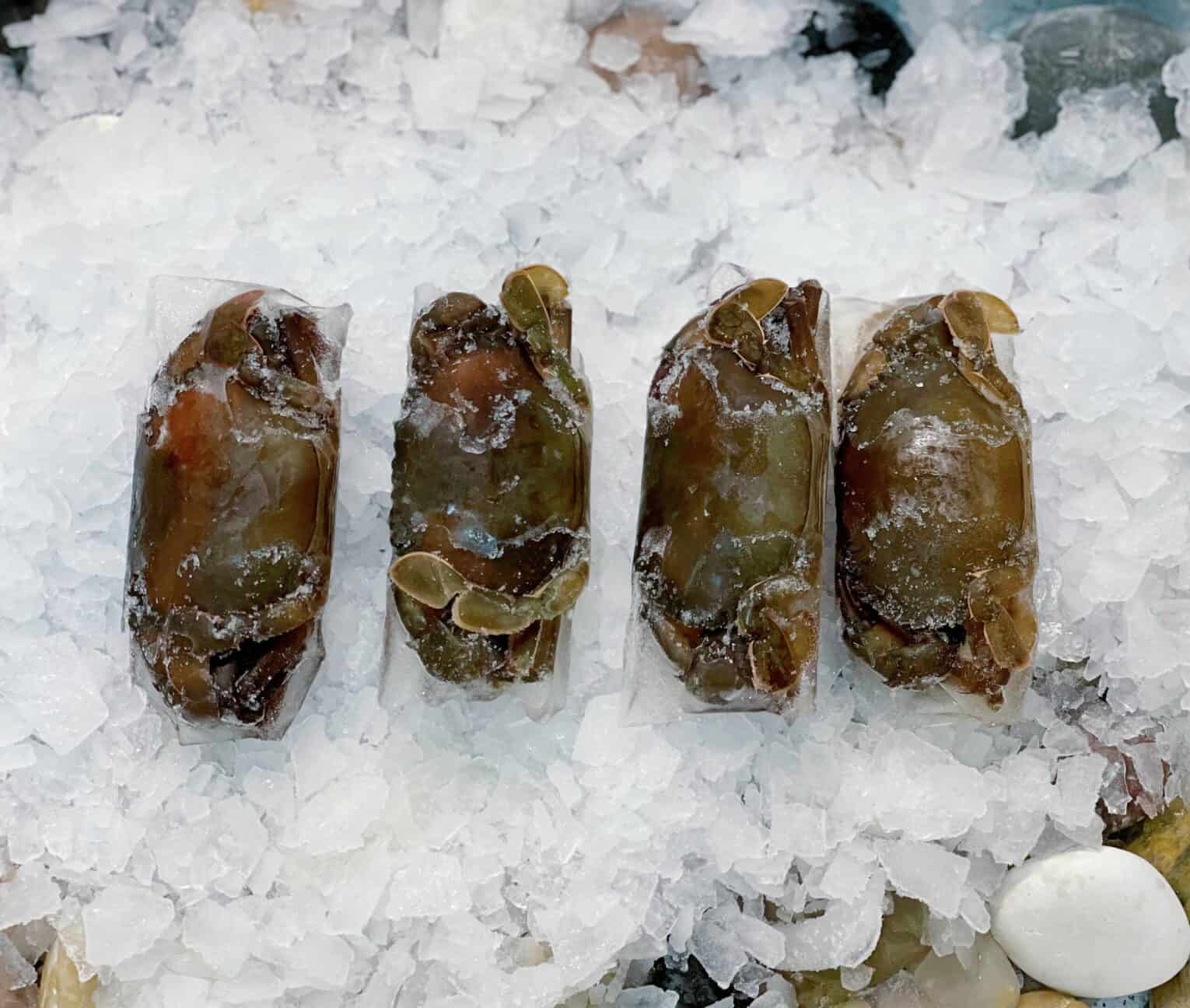 Buy Soft Shell Crab Online | Seafood Factory Outlet